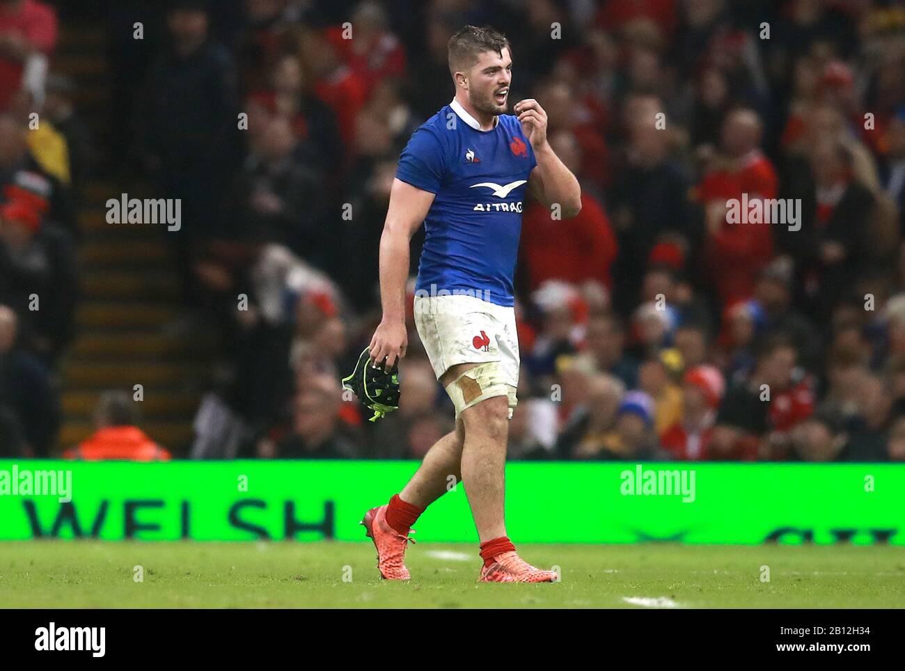 Frances gregory alldritt hi-res stock photography and images - Alamy