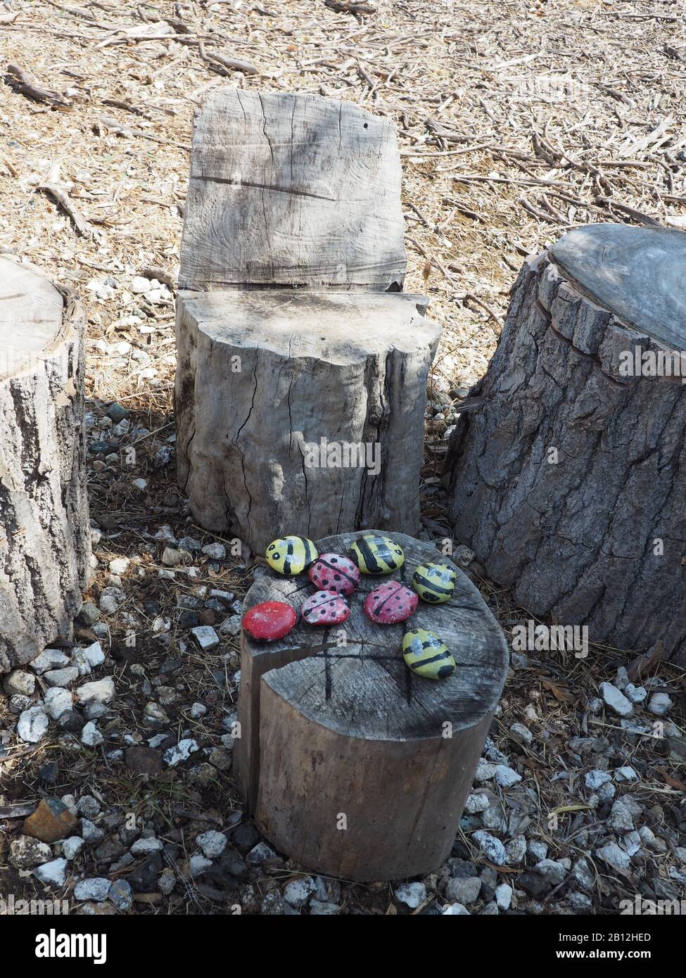 Stones painted to look like insects on a table made from a log Stock ...