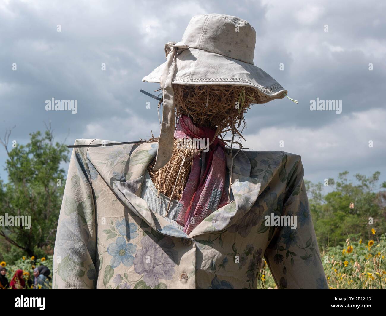 Cute cartoon crow hi-res stock photography and images - Alamy