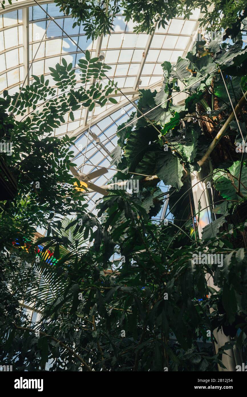 Conservatory of flowers greenhouse hi-res stock photography and images ...