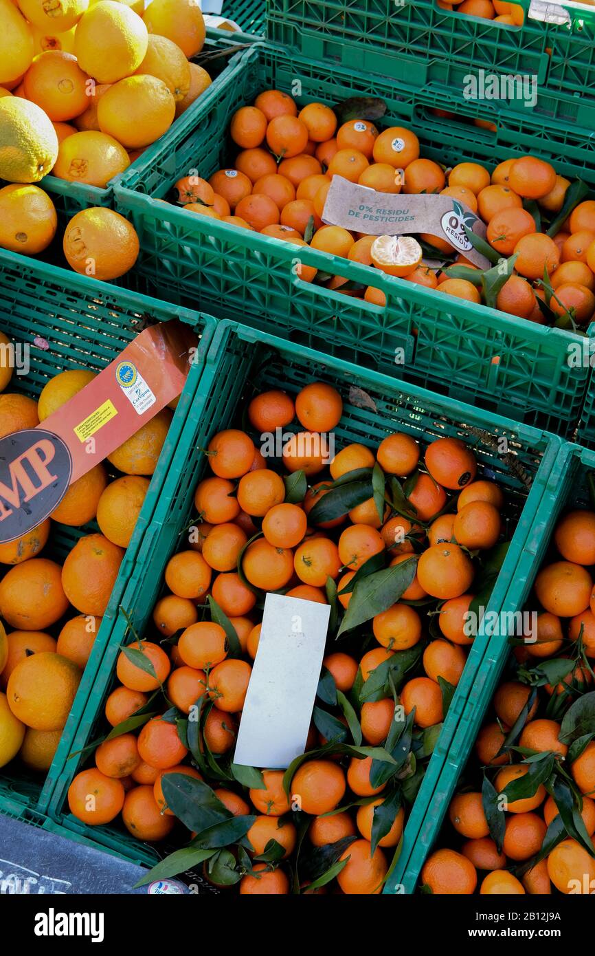 Crates of clementines at a french local farmer's market Stock Photo - Alamy