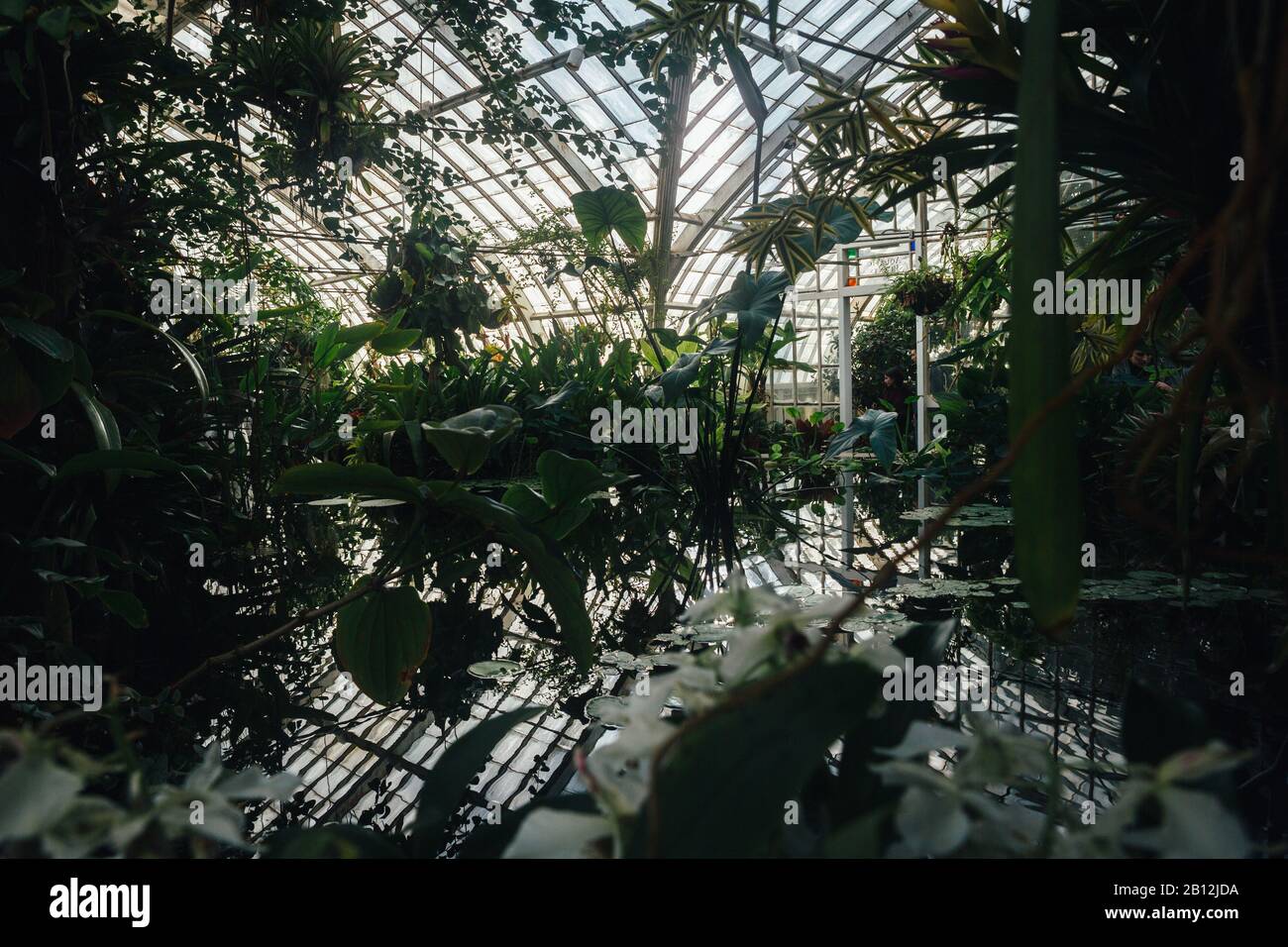 Victorian conservatory flowers botanical garden hi-res stock ...