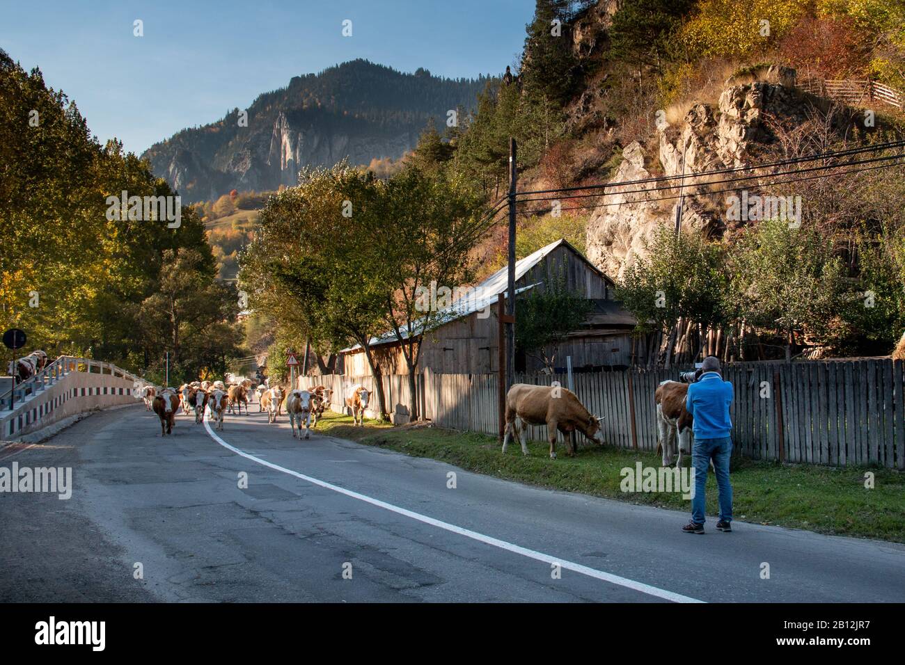 Bicaz canyon is a gorge in Romania, in the counties of Neamt and ...