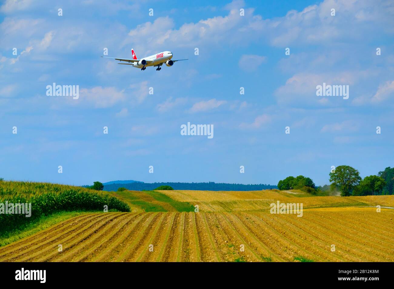 Airplane above beautiful lawns and forest in countryside Stock Photo ...