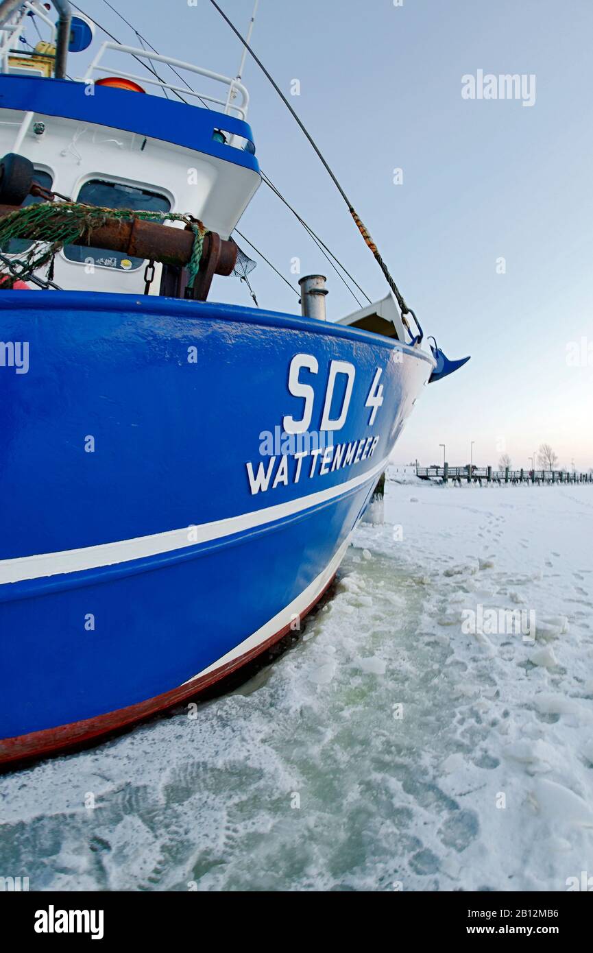 Frozen ship in the harbor,Friedrichskoog,Dithmarschen district ...