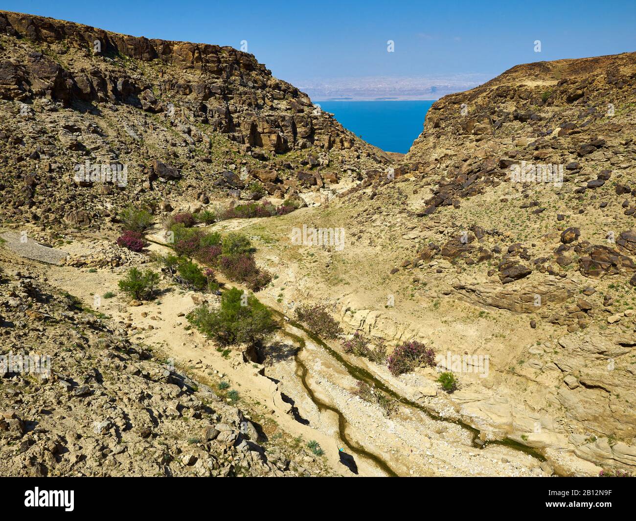 View through a wadi on the Dead Sea at Ain Zarqa,Madaba Province,Jordan ...