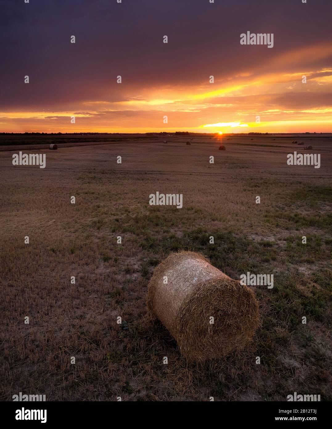Tumbleweed in autumn hi-res stock photography and images - Alamy