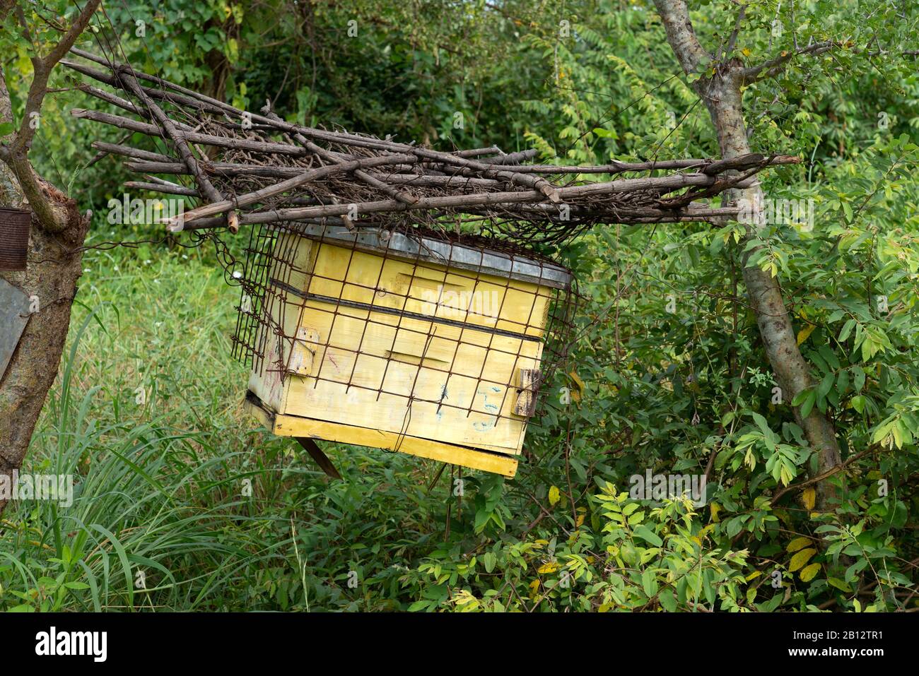 Beehive fence on a Kenyan farm near Voi built to deter elephants from ...