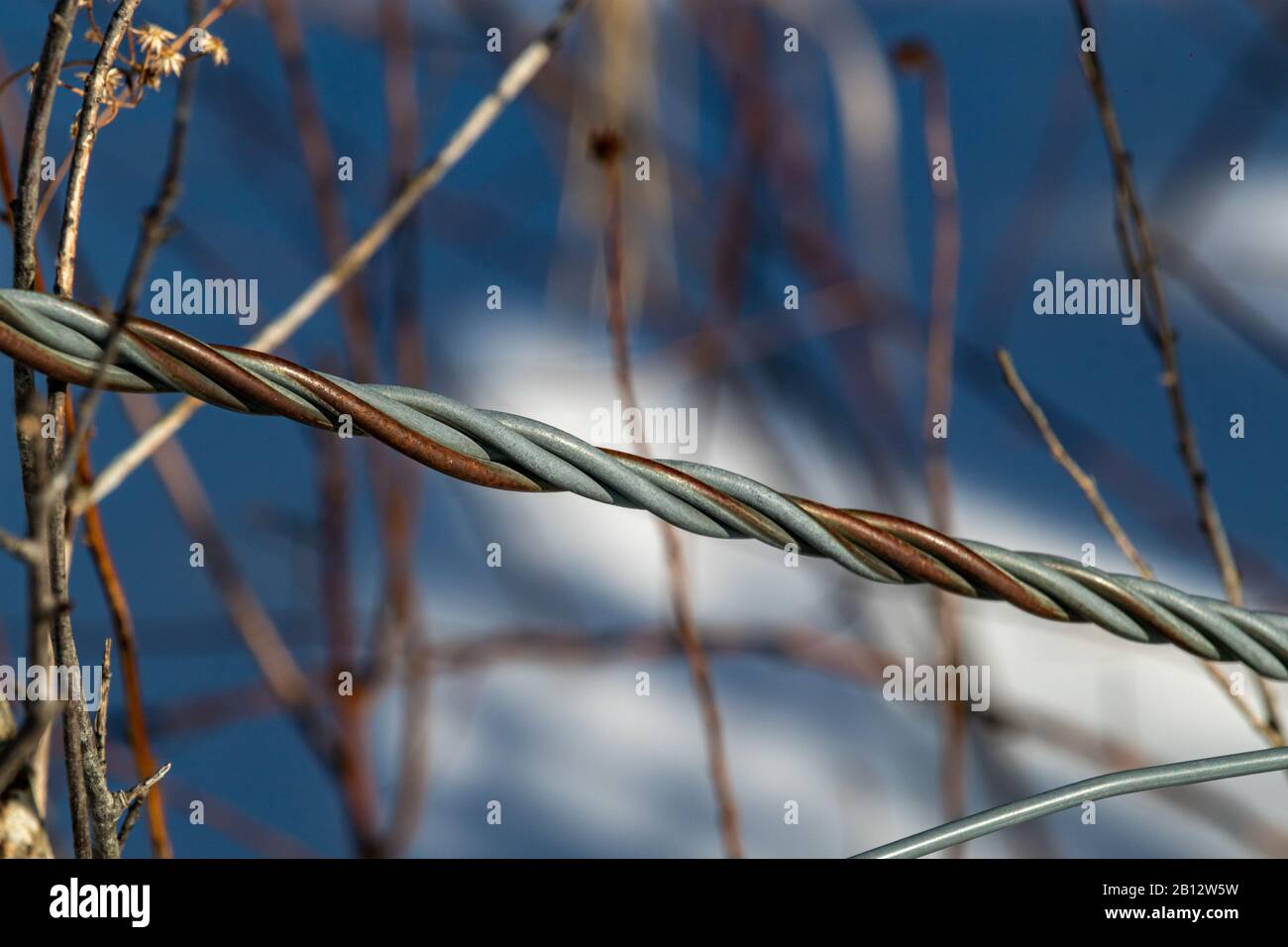 A steel twisted wire line, with four wire lines twisted around each ...