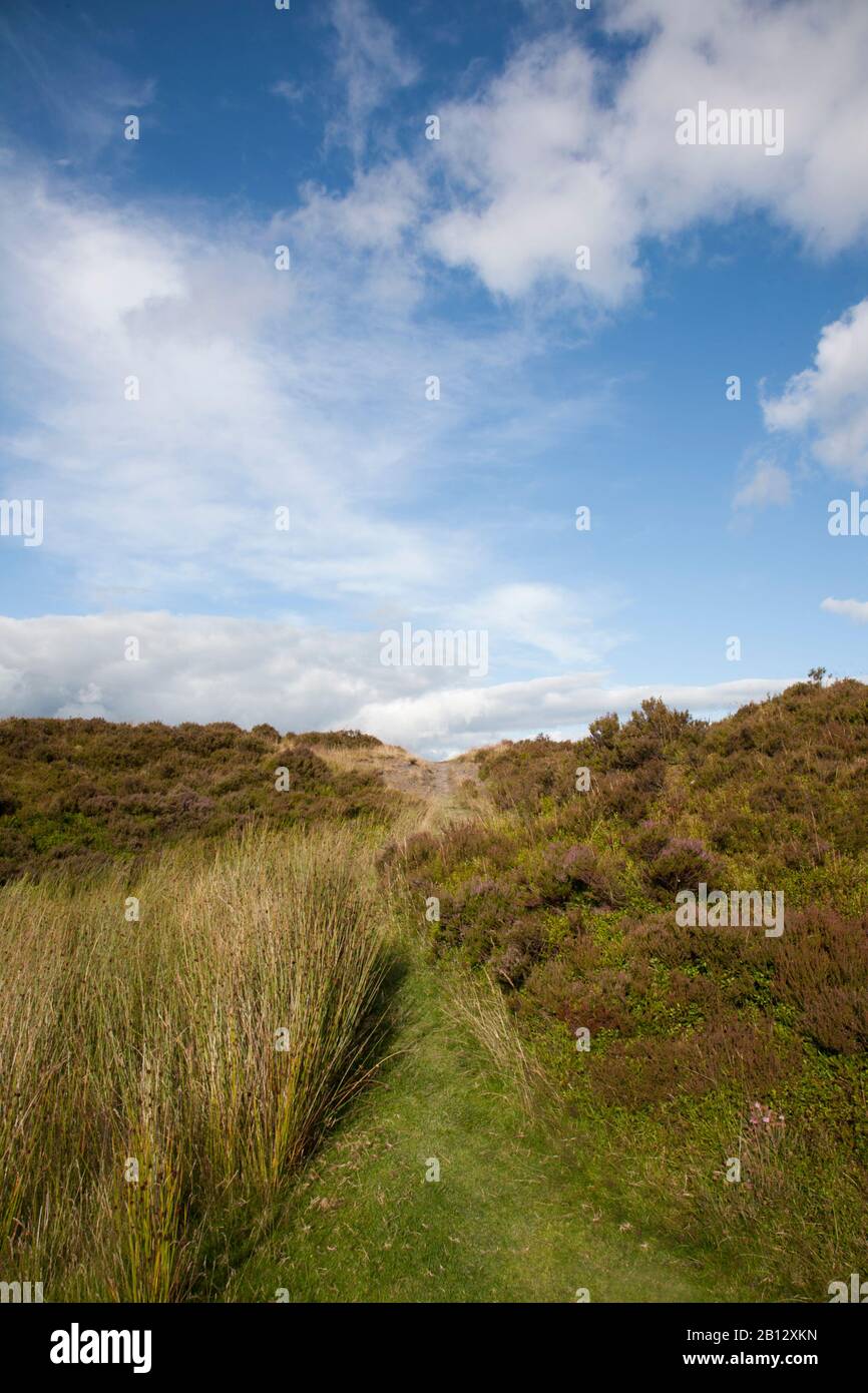 Pathway on The Blorenge, South Wales Stock Photo - Alamy