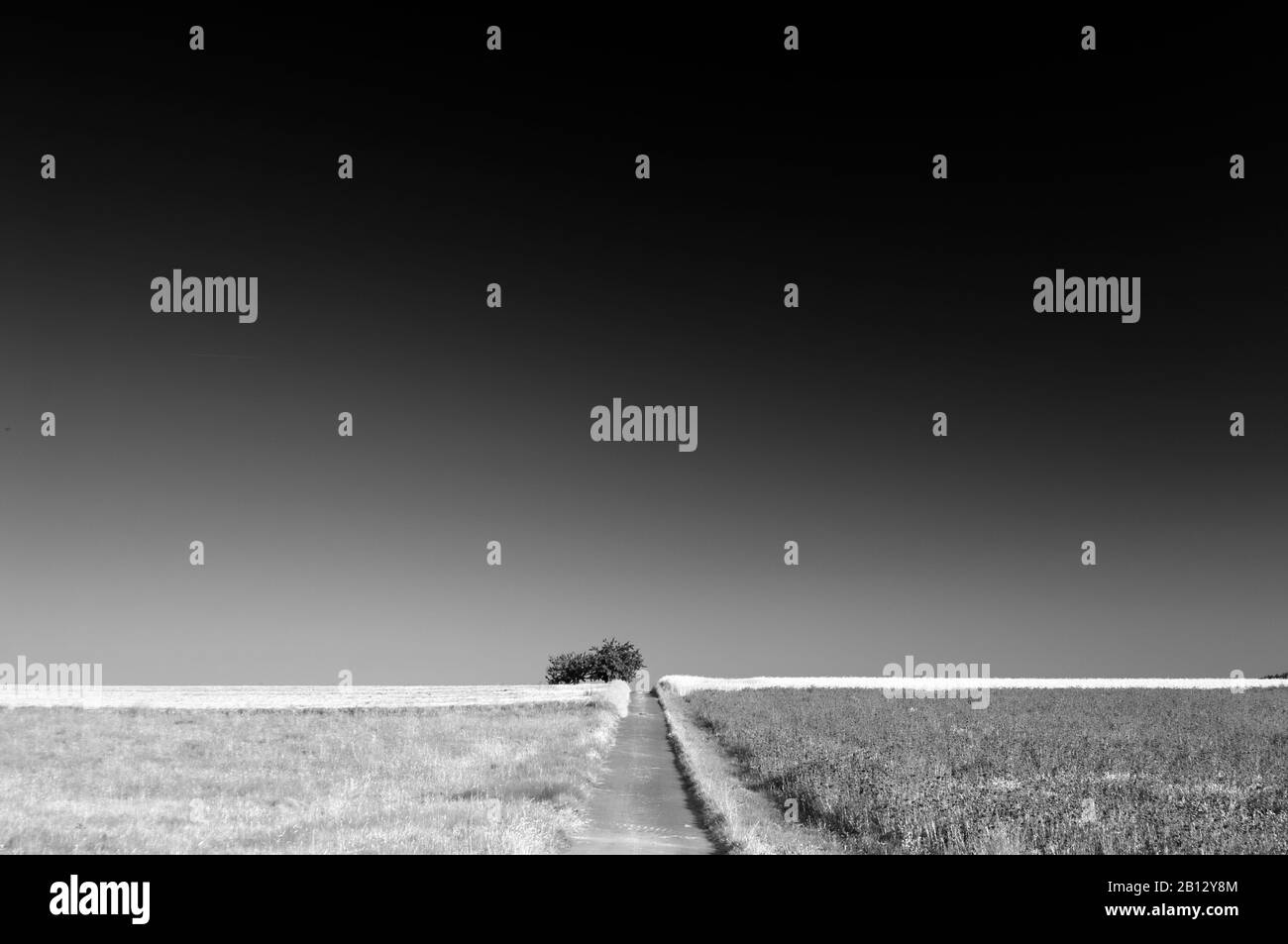 Track and fields hi-res stock photography and images - Alamy