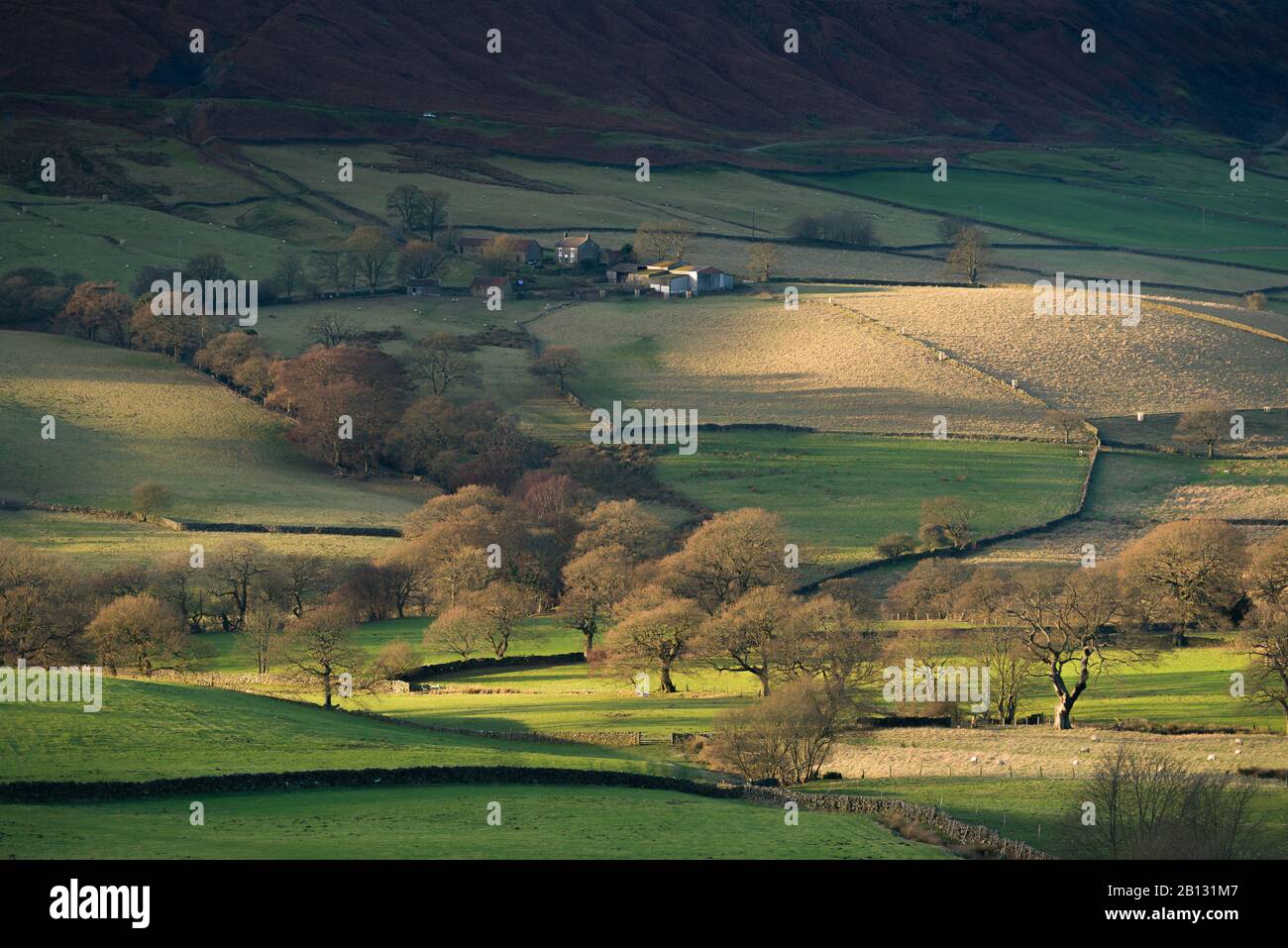 Cockayne hi-res stock photography and images - Alamy