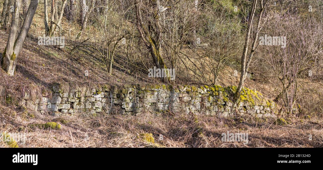 old overgrown stone wall on a hillside in forest Stock Photo - Alamy