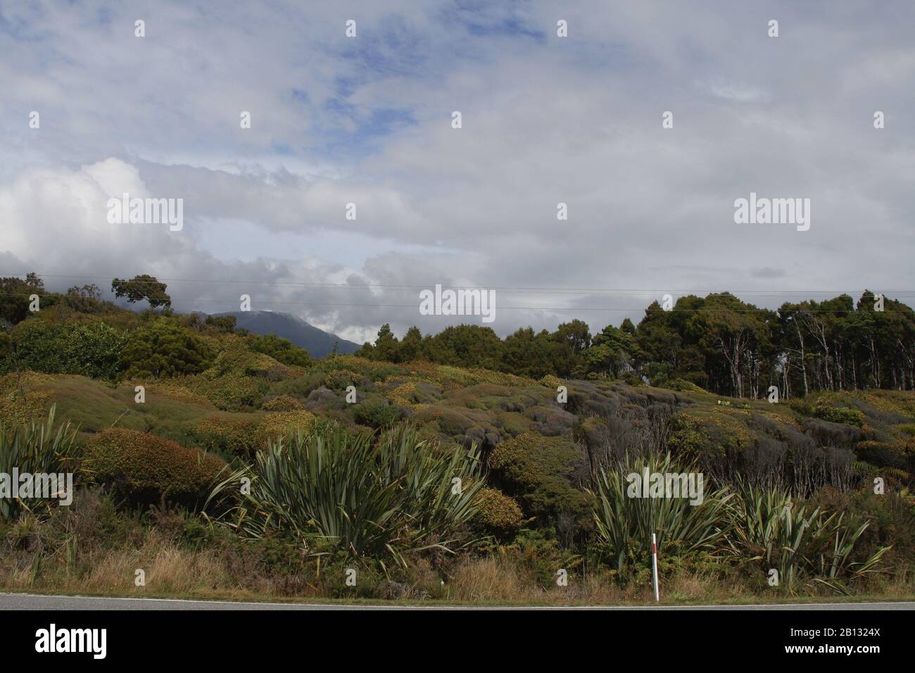 nature and the world around new Zealand Stock Photo - Alamy