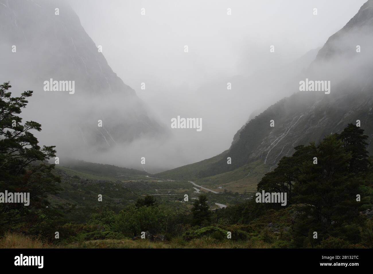 nature and the world around new Zealand Stock Photo - Alamy