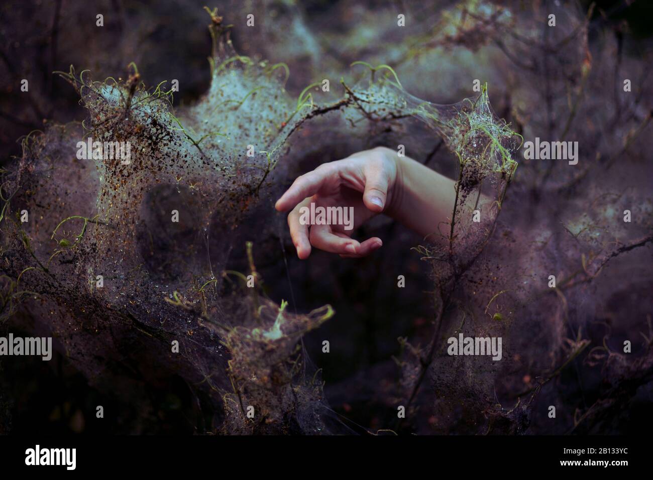 Hand reaching through cobwebs hi-res stock photography and images - Alamy