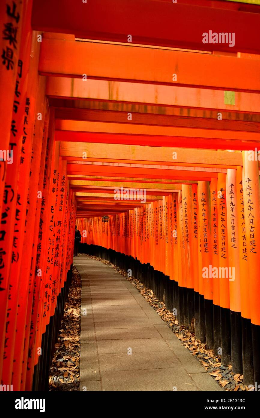 Closeup of the famous torii in the Fushimi Inari shrine, Kyoto Stock ...