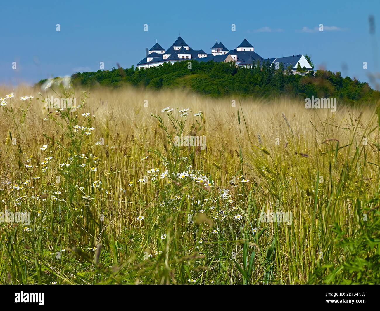 District of mittelsachsen hi-res stock photography and images - Alamy