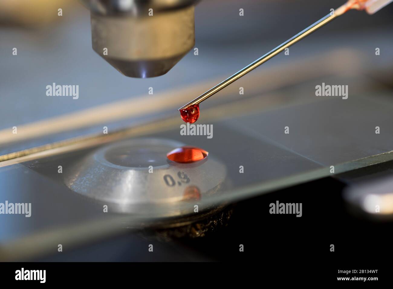 Blood work lab testing for infectious coronavirus in patient close up ...