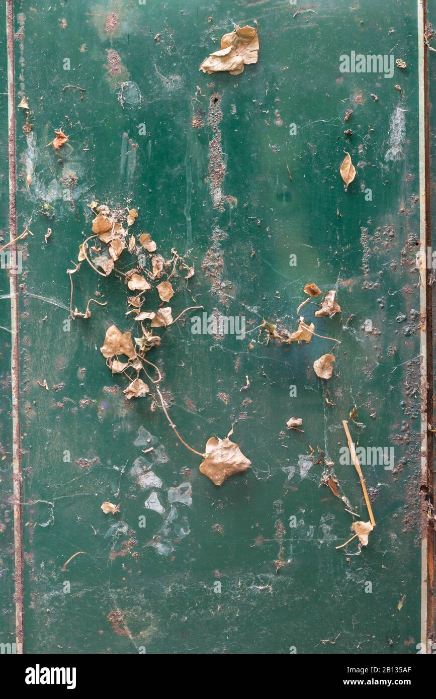 Leaves rust hi-res stock photography and images - Alamy
