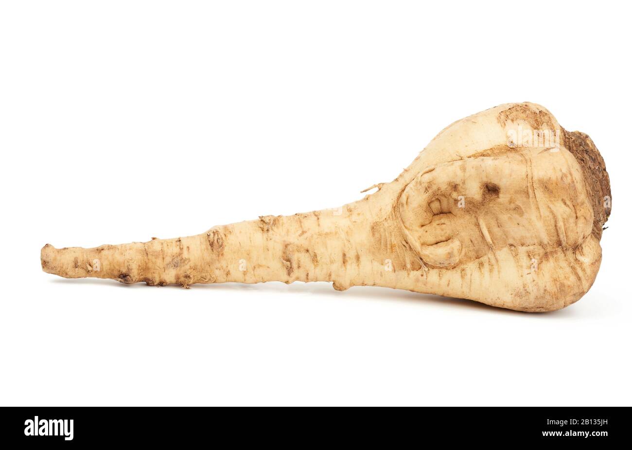 large parsnip root isolated on a white background, healthy and tasty ...