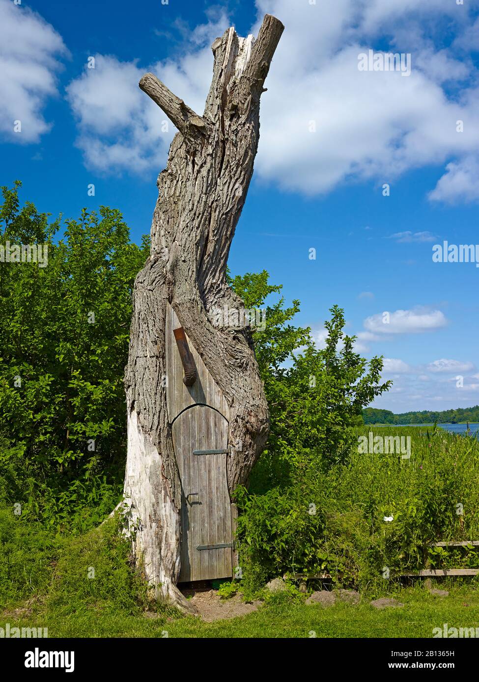 Dead tree trunk door hi-res stock photography and images - Alamy