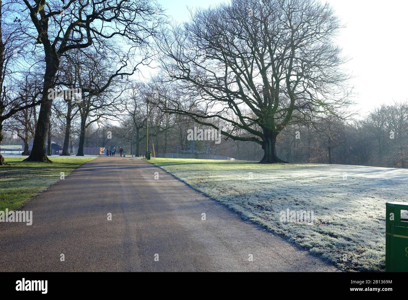 England, Lancashire, Chorley: A Walk in Astley Park on a Frosty, Sunny ...