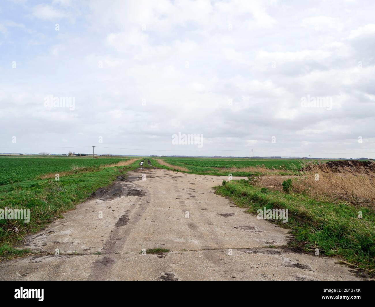 Private road on farmland Stock Photo - Alamy
