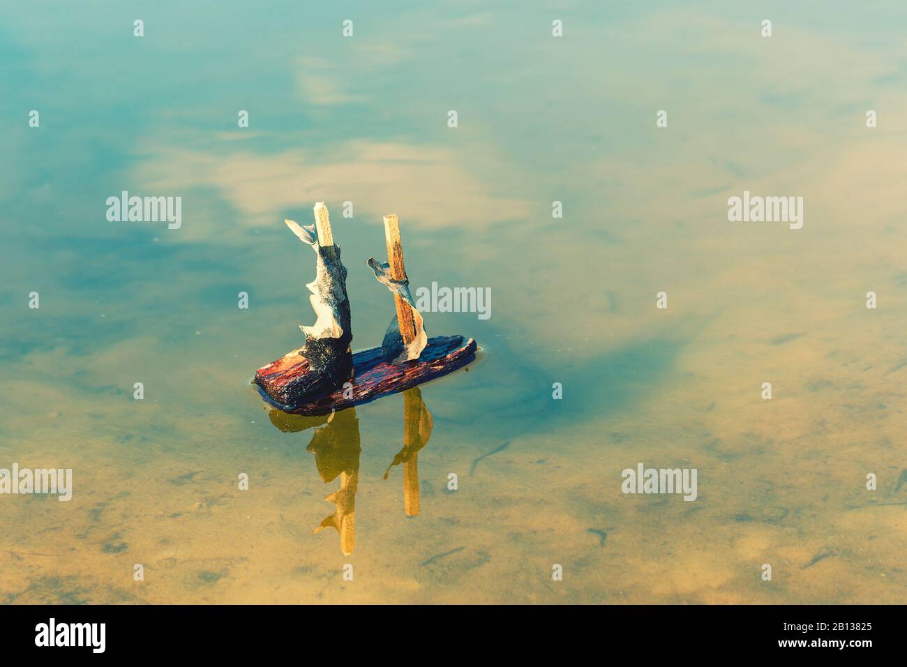 Bark boat toy hi-res stock photography and images - Alamy