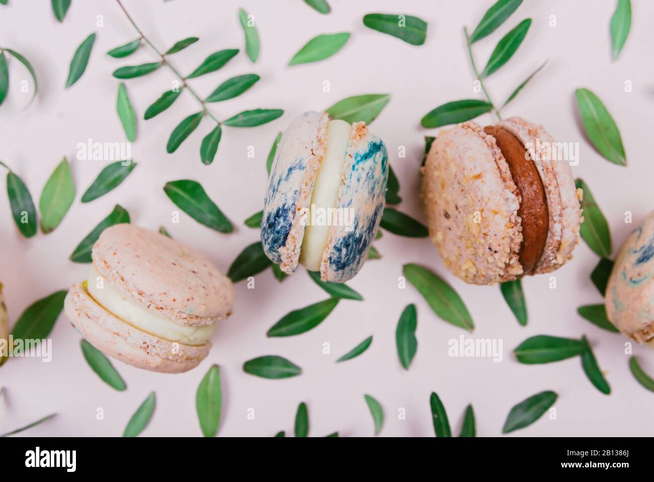 Assorted macaroons on pastel beige background with green leaves ...