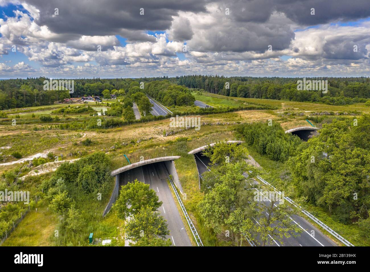 Aerial view of Ecoduct wildlife crossing at Dwingelderveld National ...