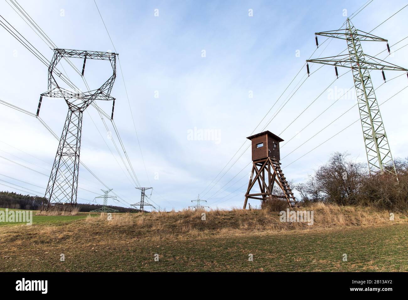 Power poles of a power line next to a hunter's seat. High seat for ...