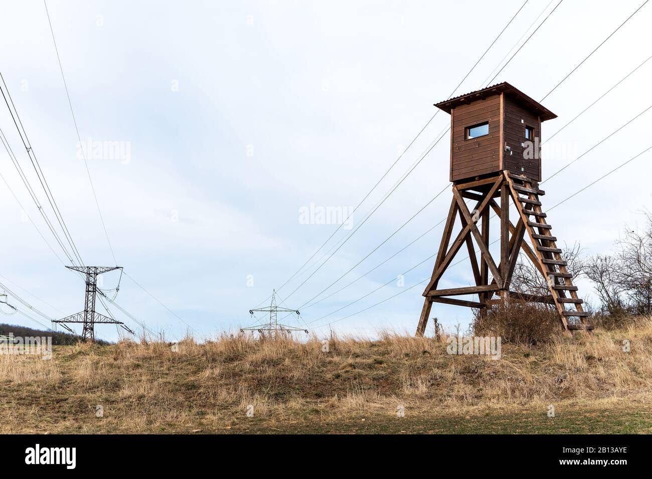 Pylons next to tree hi-res stock photography and images - Alamy