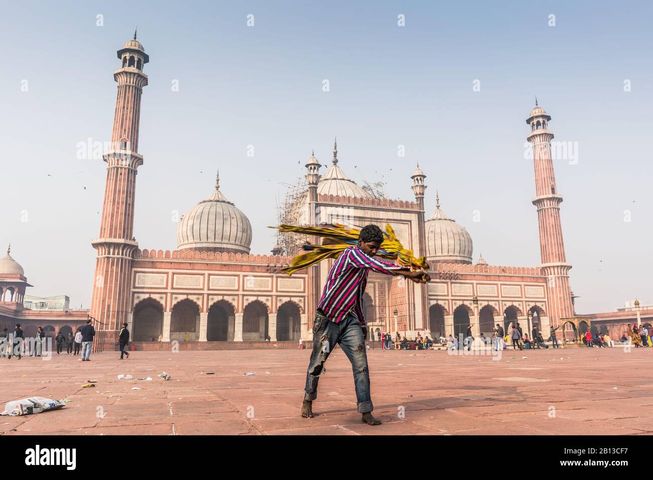 garbage man, Jama Masjid, India, Asia Stock Photo - Alamy