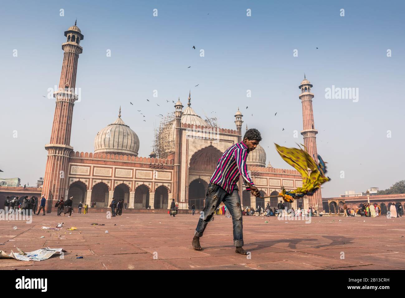 garbage man, Jama Masjid, India, Asia Stock Photo - Alamy