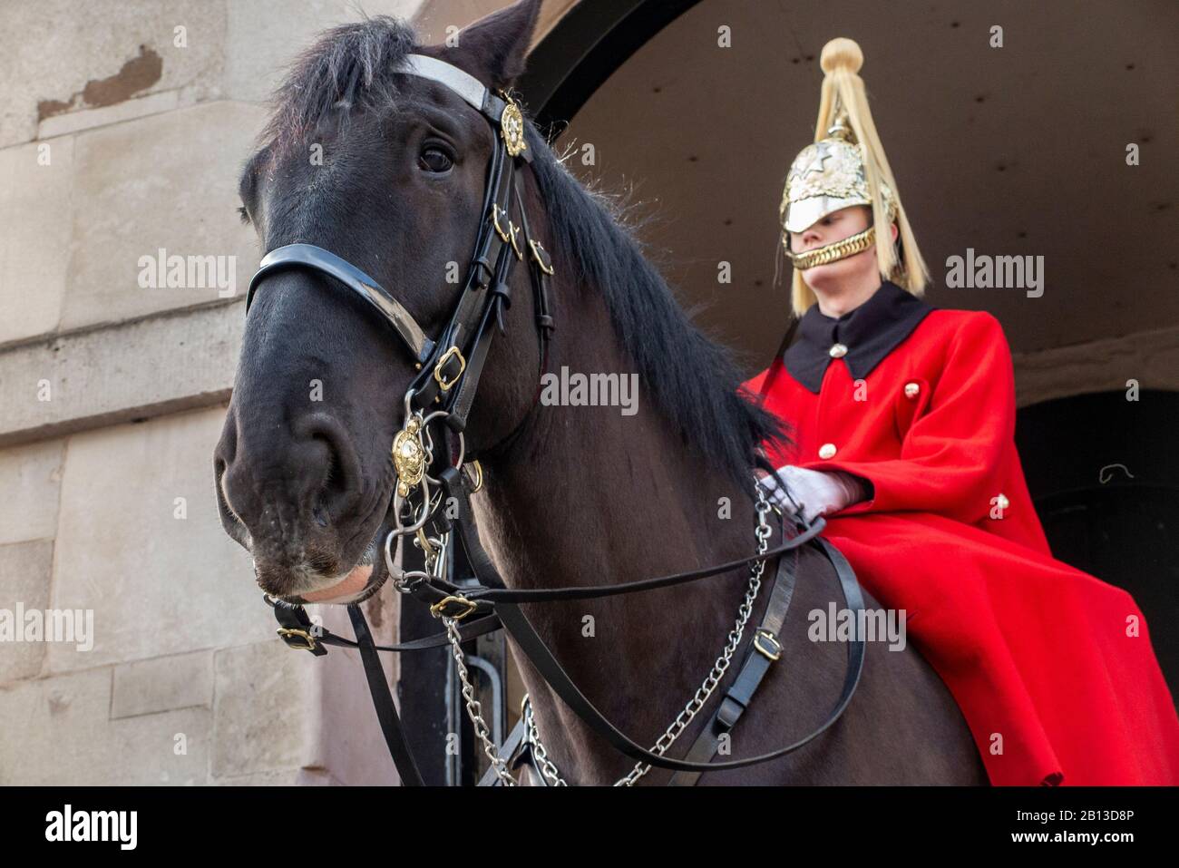 A guard on parade in Horseguard's Parade Stock Photo - Alamy