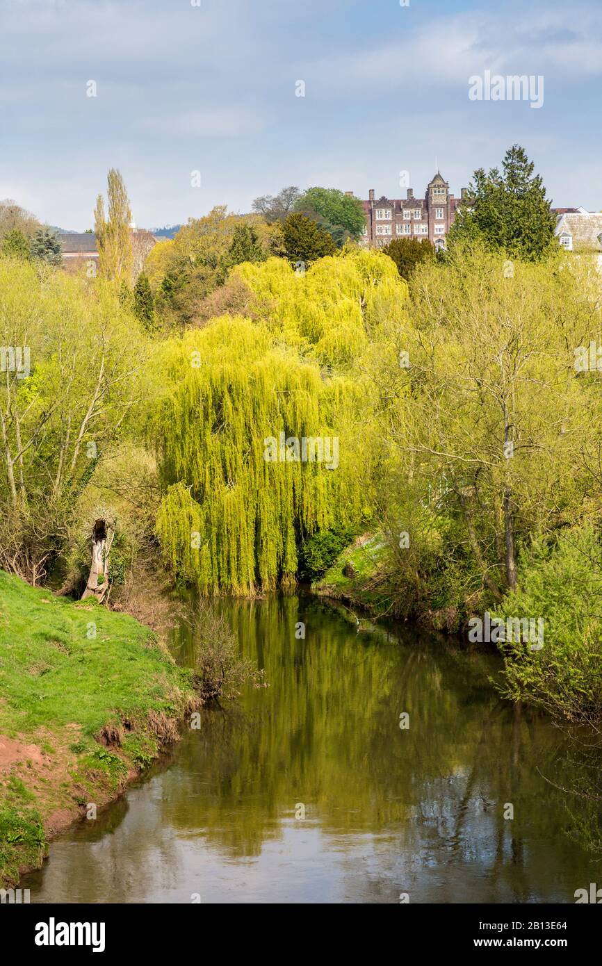 River monnow hi-res stock photography and images - Alamy