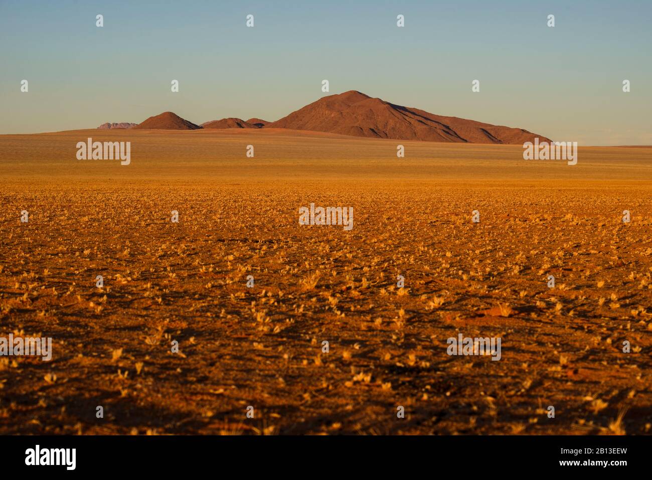 The Namib desert,Namibia,Africa Stock Photo - Alamy