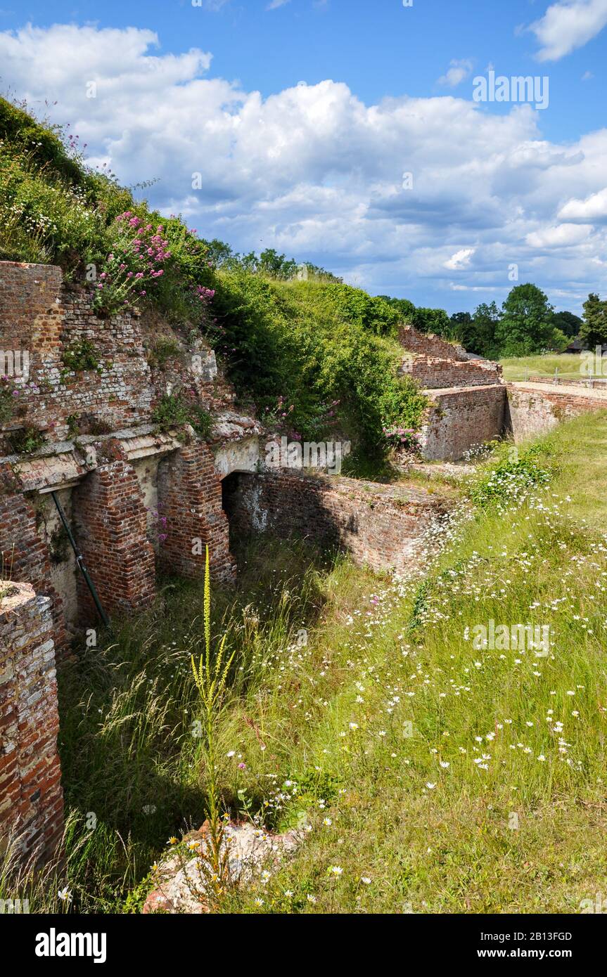 Basing house basingstoke hi-res stock photography and images - Alamy
