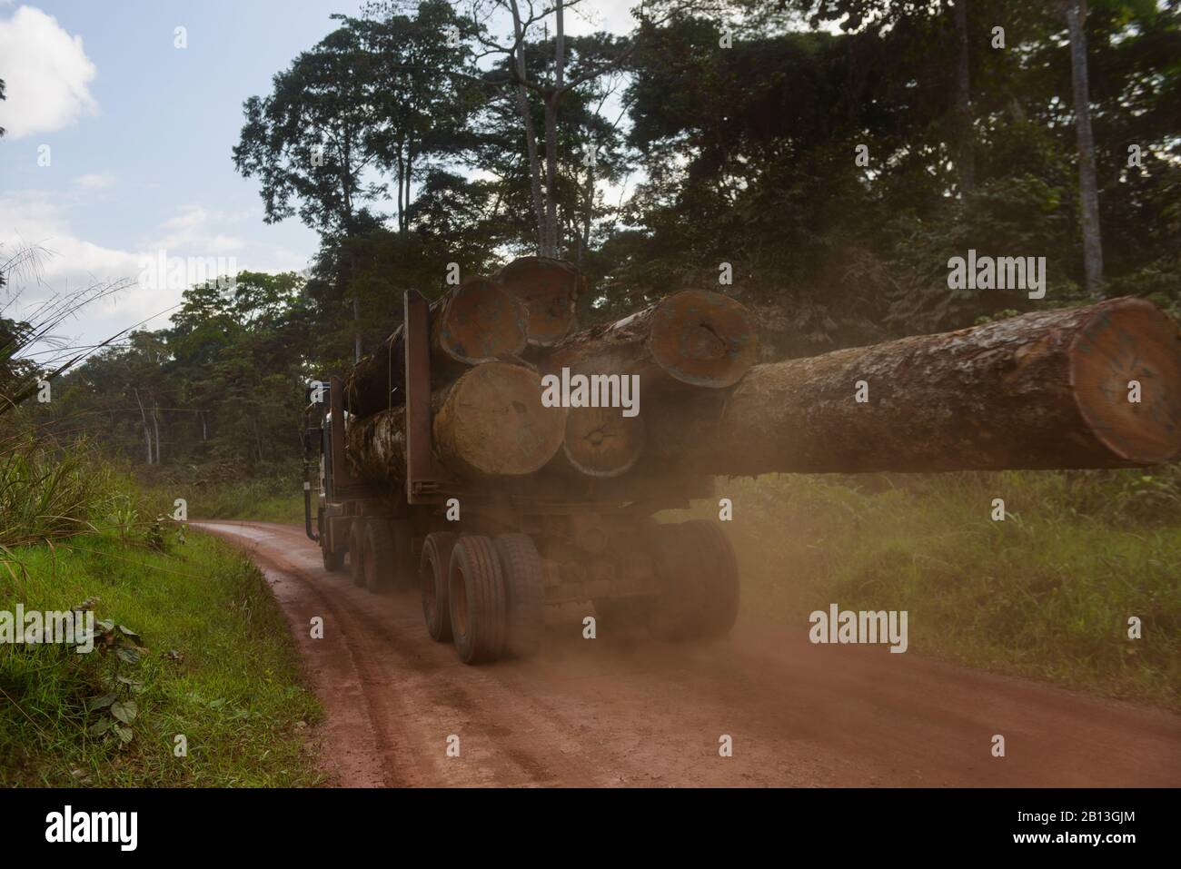 Truck with timber,equatorial rainforest,Gabon,Central Africa Stock ...