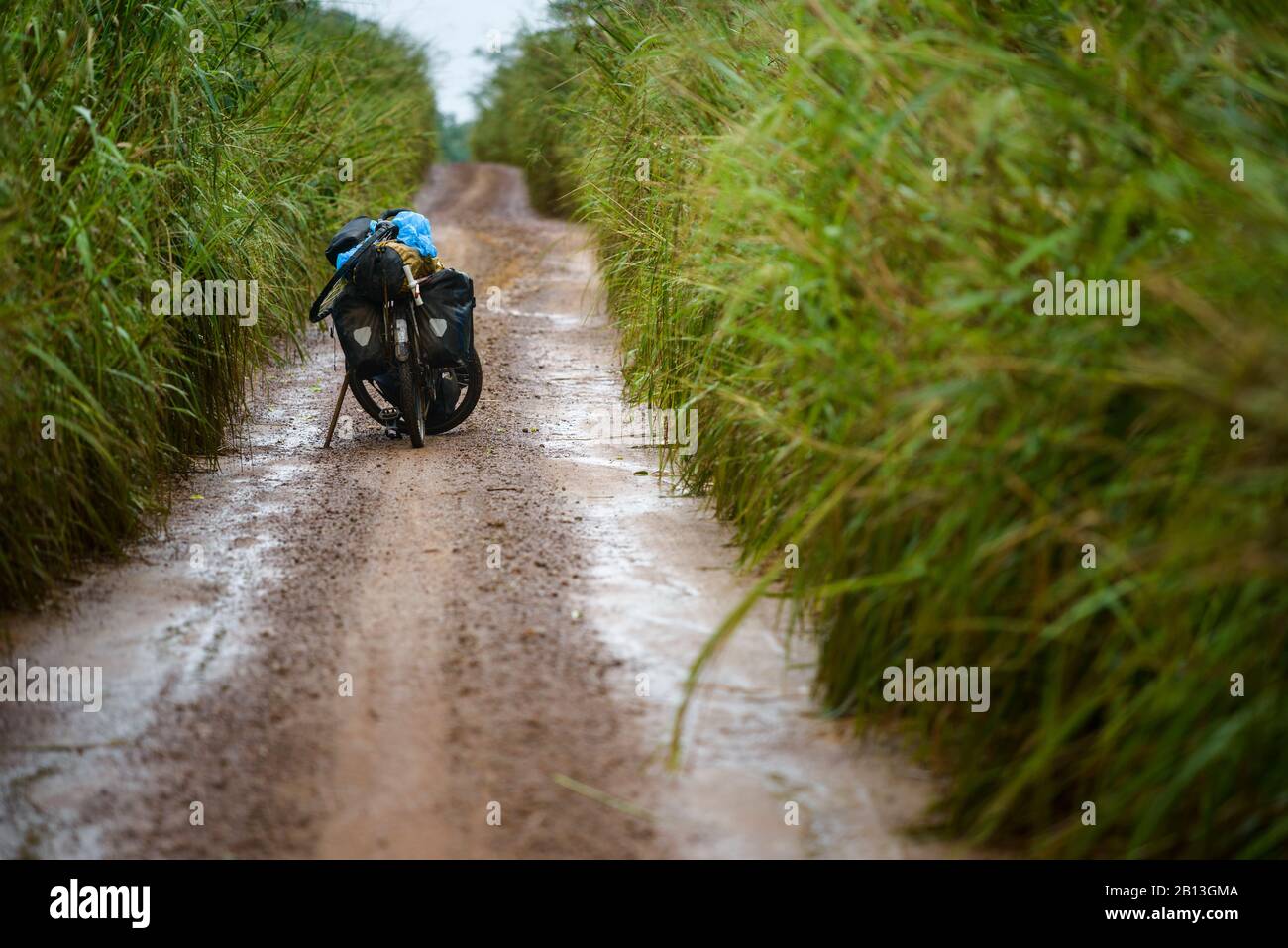 Cycling in the equatorial rainforest of gabon hi-res stock photography ...