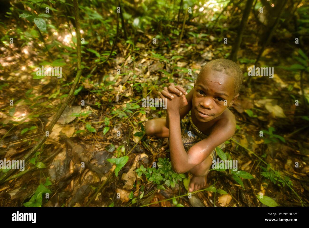 Life of Bayaka Pygmies at the equatorial rainforest,Central African ...