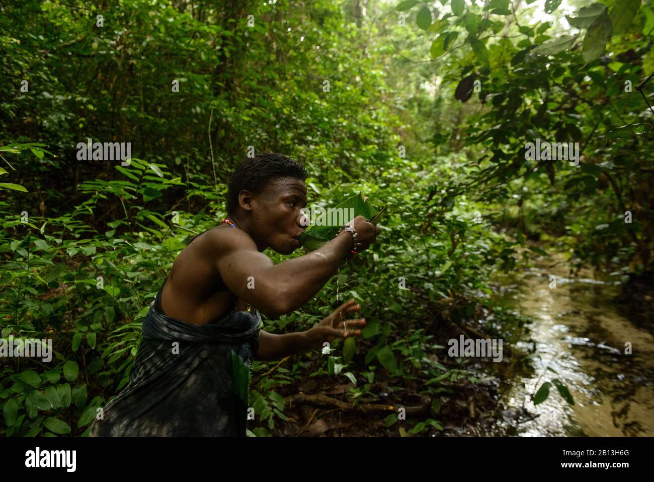 Life of Bayaka Pygmies at the equatorial rainforest,Central African ...