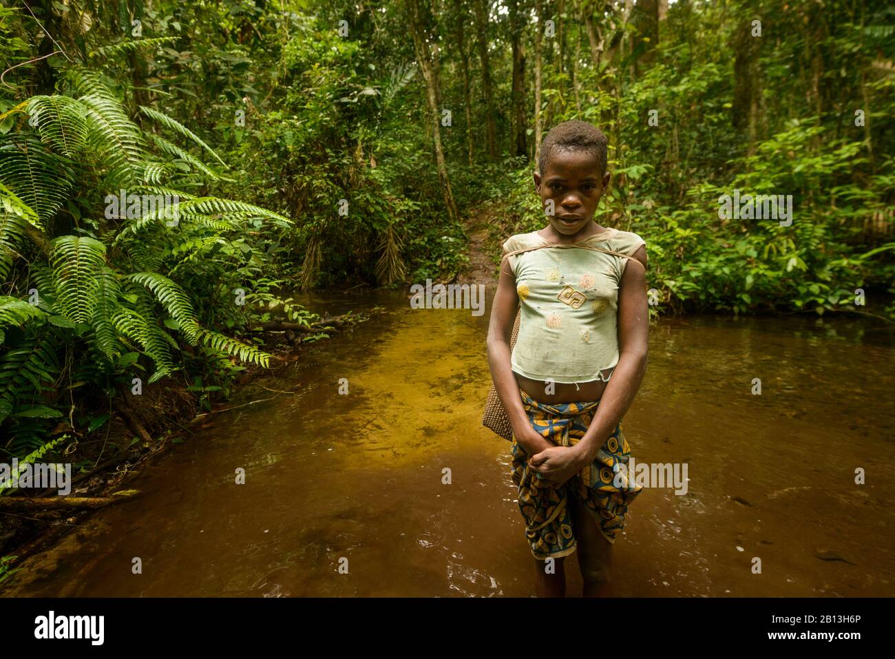 Life of Bayaka Pygmies at the equatorial rainforest,Central African ...