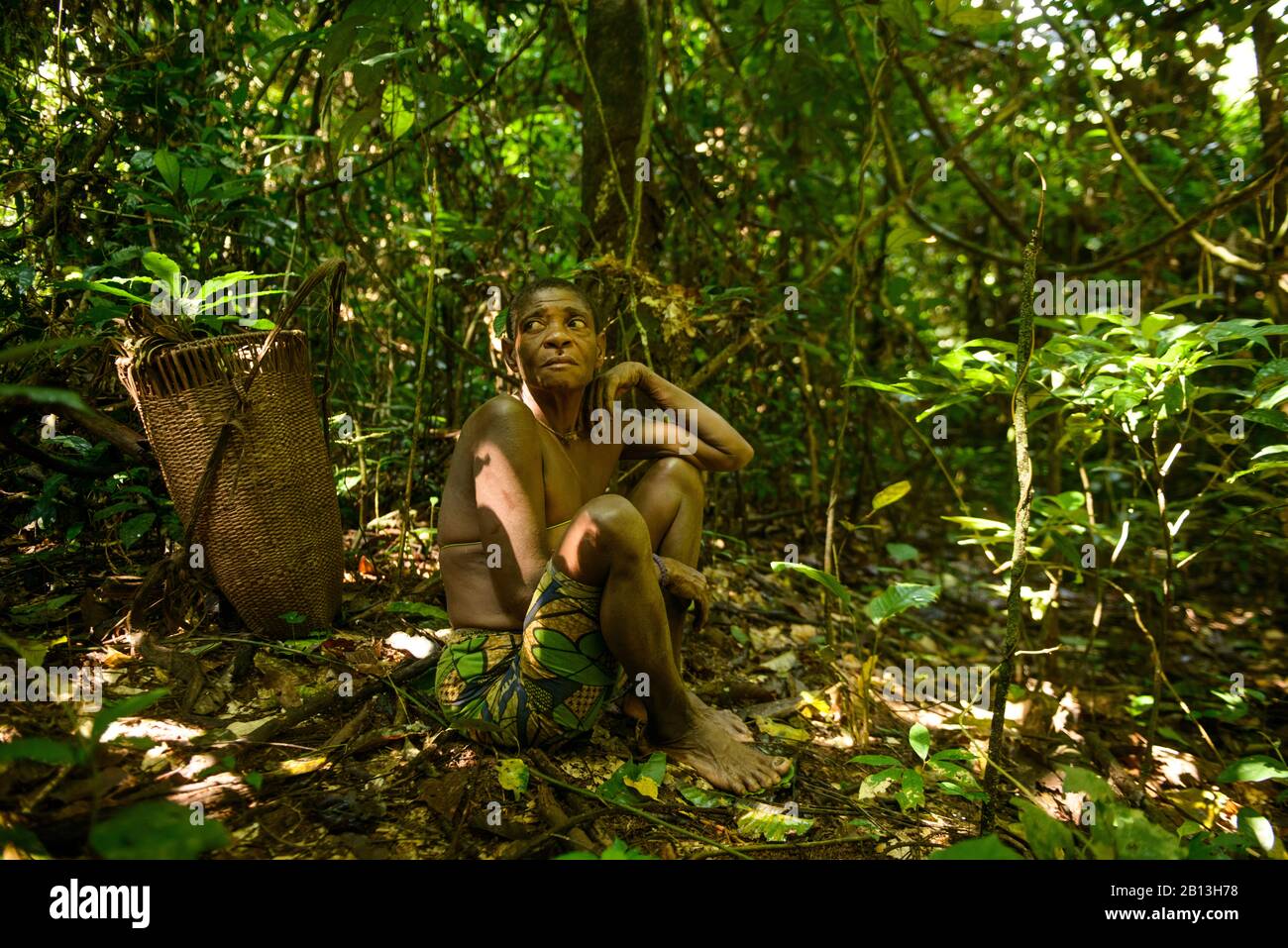 The life of the Bayaka Pygmies in the Equatorial Rainforest,Central ...