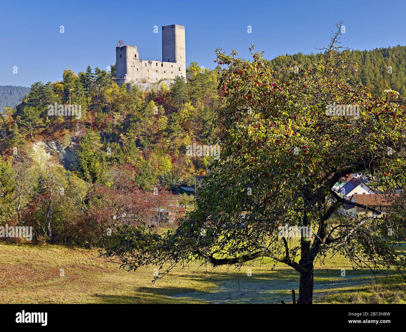 Ehrenstein castle ruin hi-res stock photography and images - Alamy
