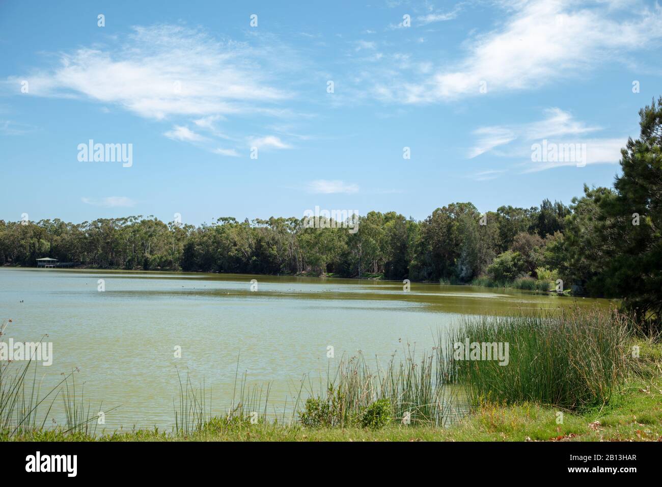 General overview of Lake Monger and its shore, near Perth, Western ...