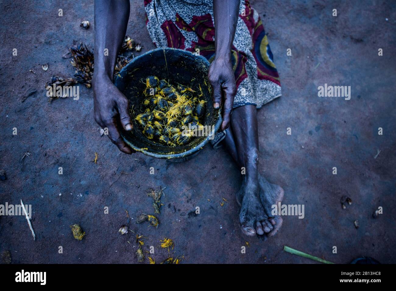 Life of Bayaka Pygmies at the equatorial rainforest,Central African ...