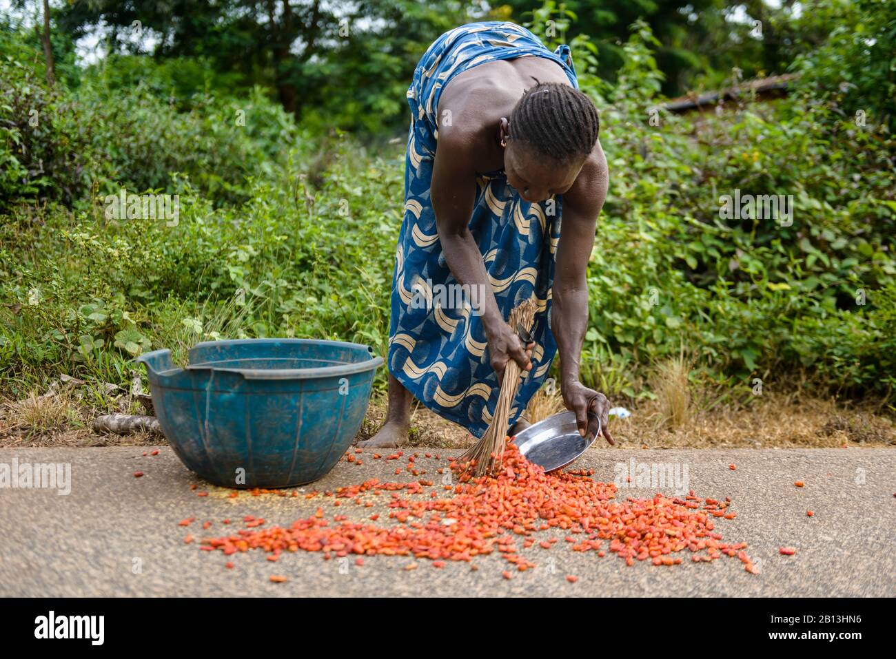 Drying and collecting red peppers,Nigerian countryside Stock Photo - Alamy