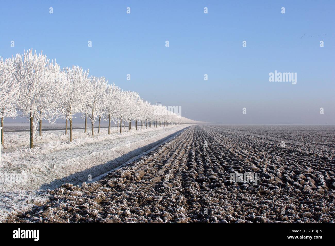 Zeewolde Netherlands High Resolution Stock Photography and Images - Alamy